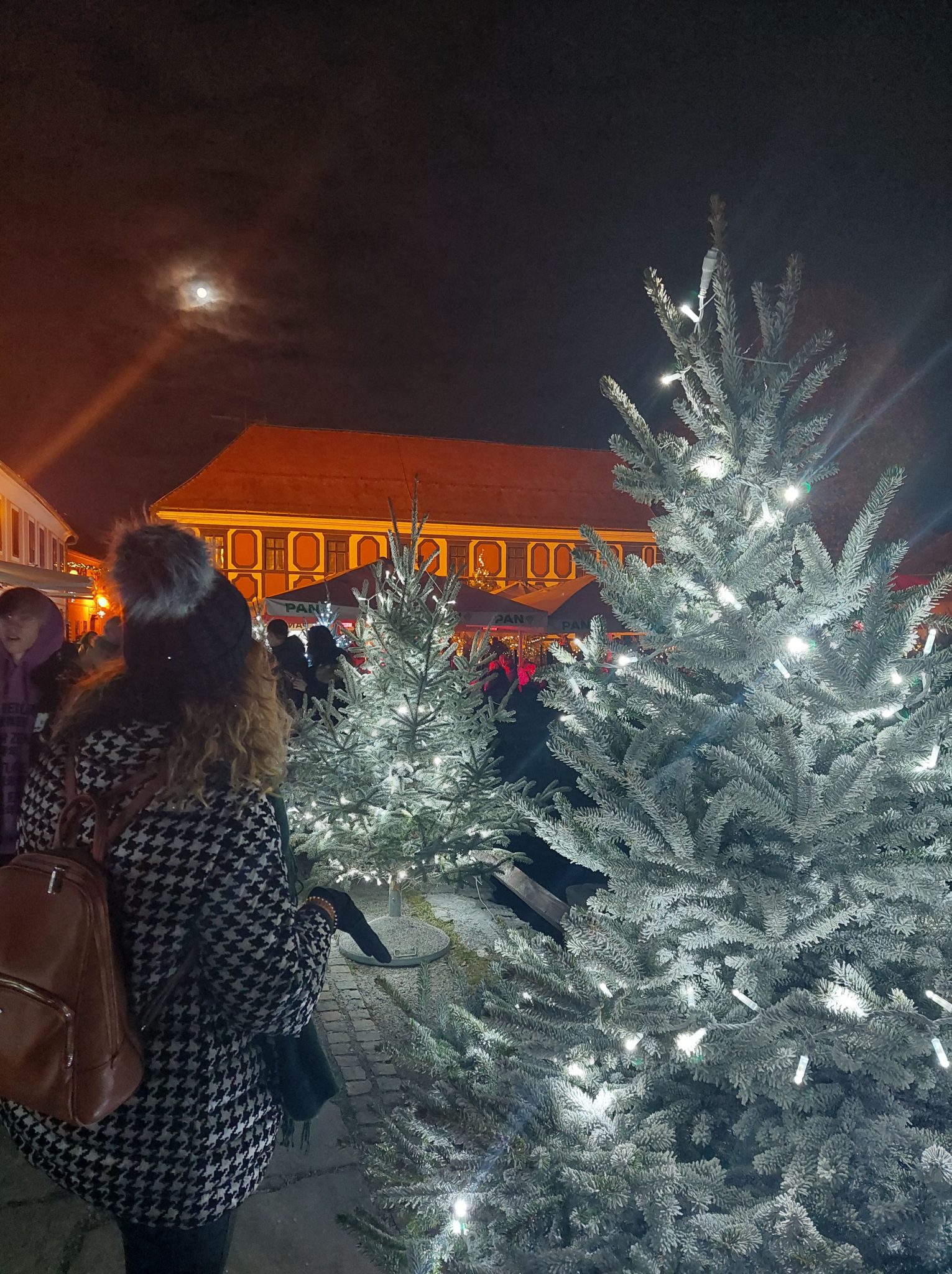 Advent u Varaždinu! Bijeg u Božićni grad na sjeveru Hrvatske • Travelina