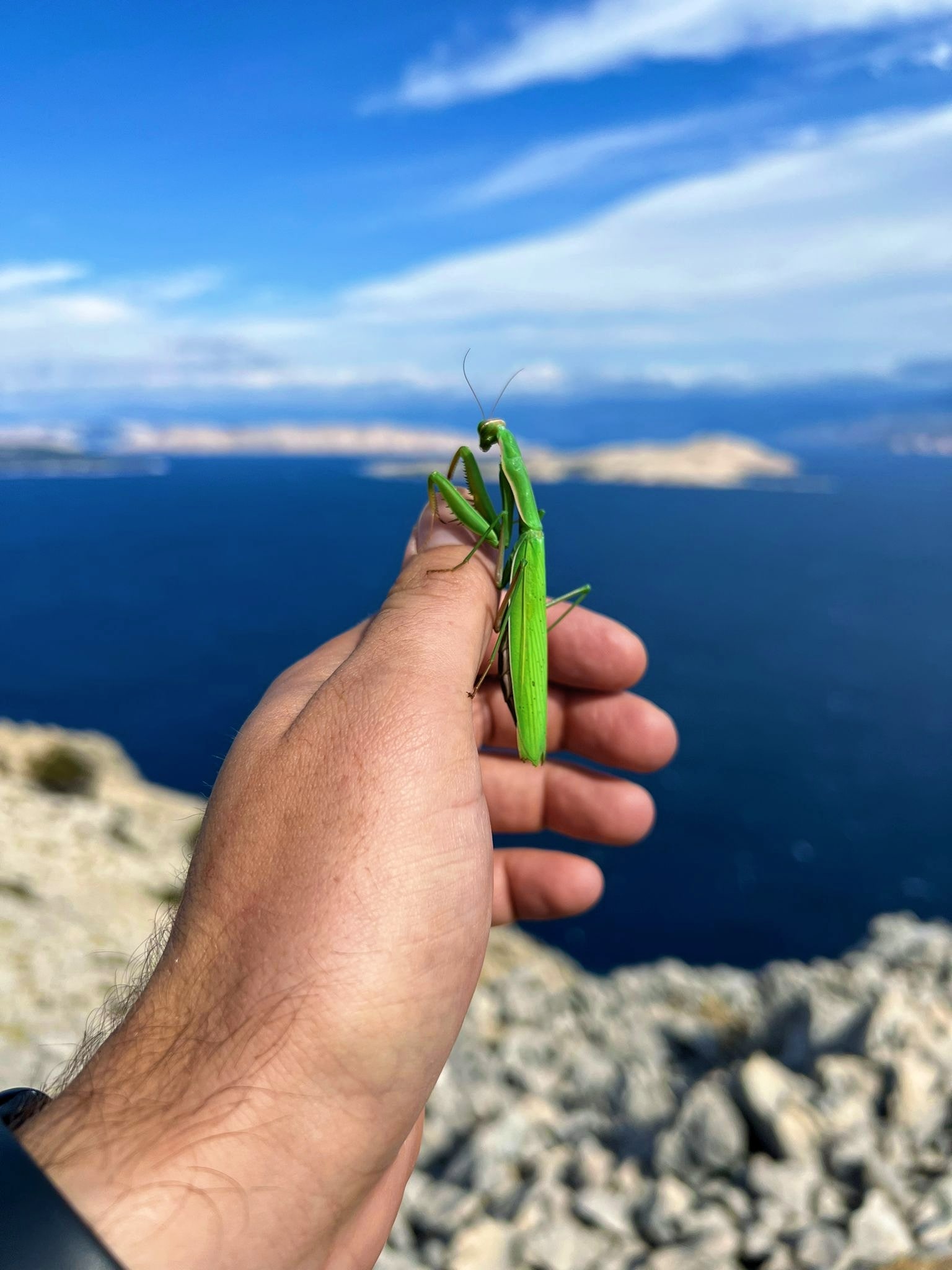 Otok RAB – otok sreće, pješčanih plaža, ukusnih torti i zavidne prirode ...